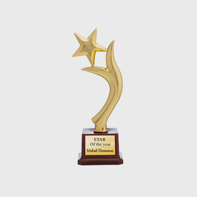 Star Performer Awards Star Performer Medal, Fusion Gold