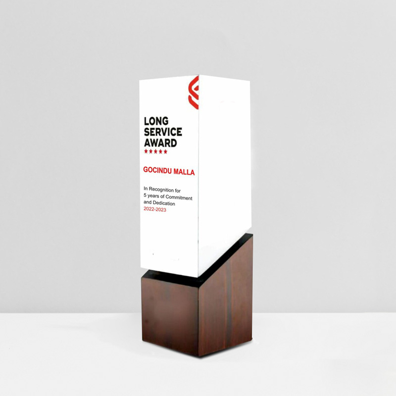 Custom Wooden Brick Trophy | Personalised with Logo & Name Online